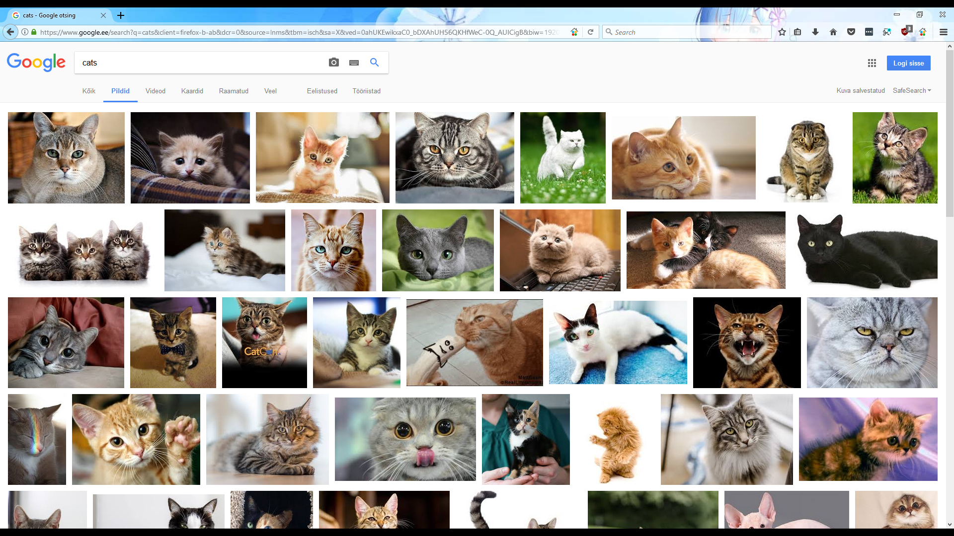 Google image search not working correctly | Opera forums