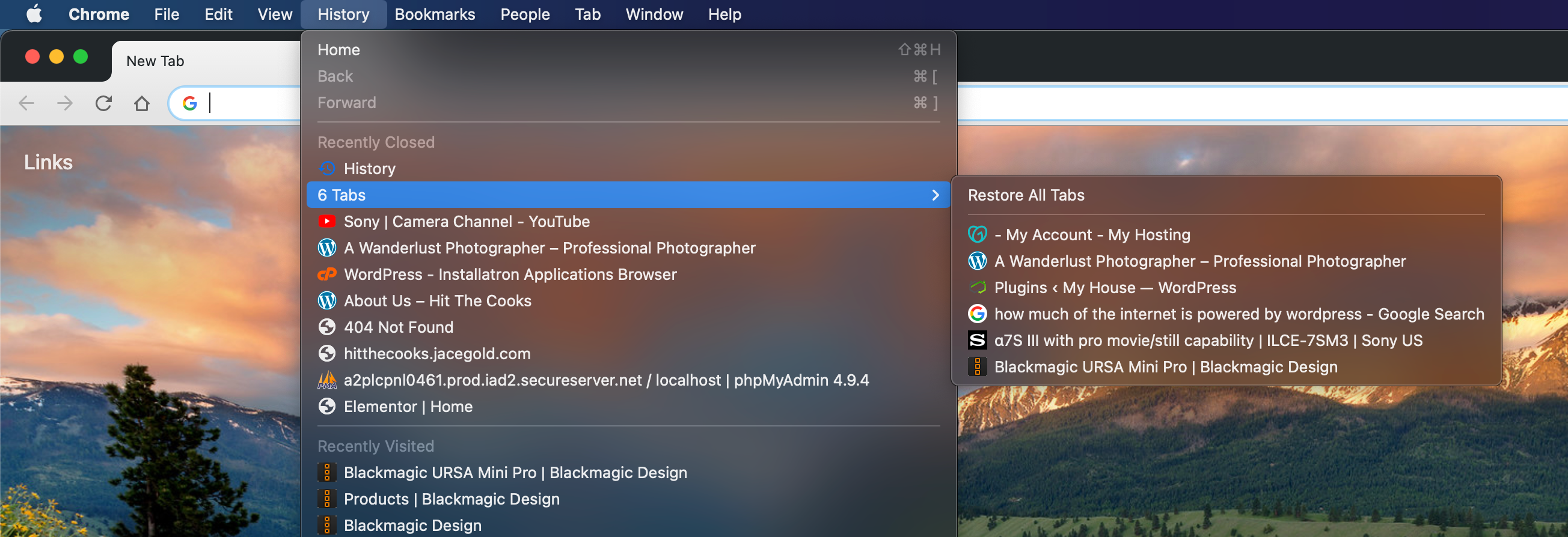 Restore Previous Sessions | Opera forums